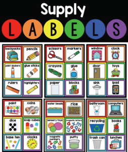 The Life-Changing Bundle for Special Education