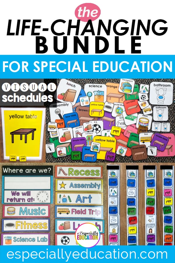 The Life-Changing Bundle for Special Education