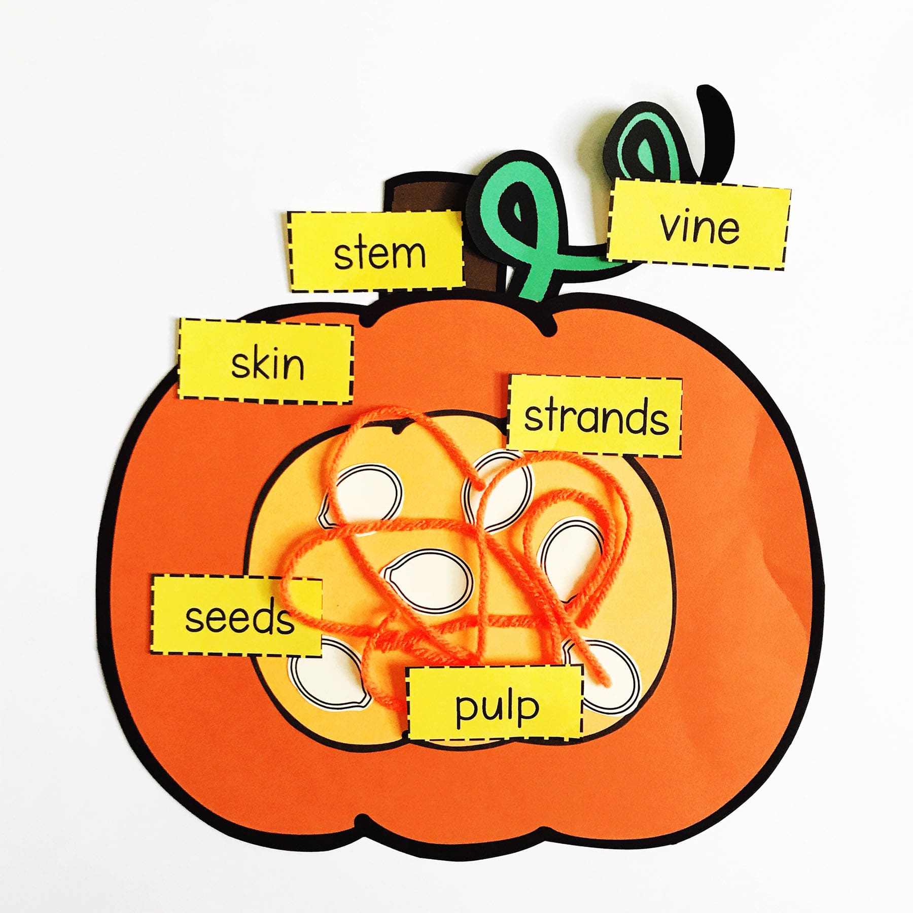 “10 Fat Turkeys” Activities For Your Elementary Special Education Classroom