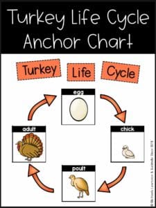 A Visual Tool for Education – Maximizing Learning Potential with Anchor ...