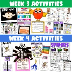 Explore the Night: Bats, Owls, and Spiders