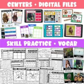 Explore the Night: Bats, Owls, and Spiders