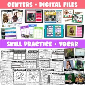 Explore the Night: Bats, Owls, and Spiders