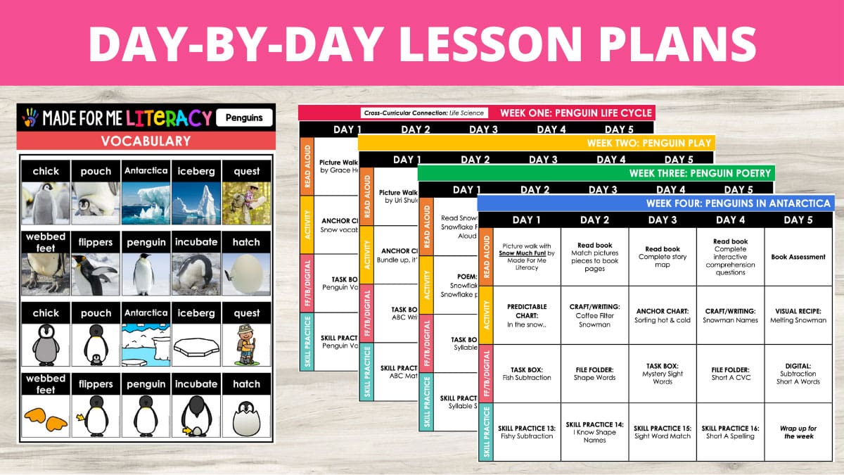 Special Education Lesson Plans for the Entire Month of January