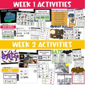 In a Nutshell: MFML B2_10: Nocturnal Animals