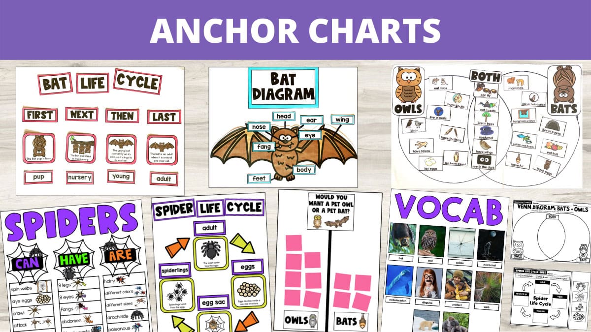 Special Education Lesson Plans for the Entire Month of October