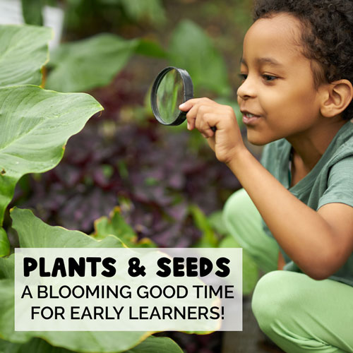 Plants & Seeds – A Blooming Good Time for Early Learners!