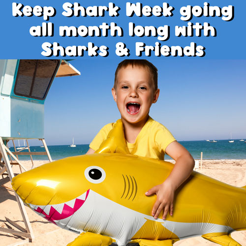 Keep Shark Week Going All Month With Sharks & Friends