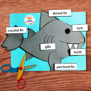 Keep Shark Week Going All Month With Sharks & Friends